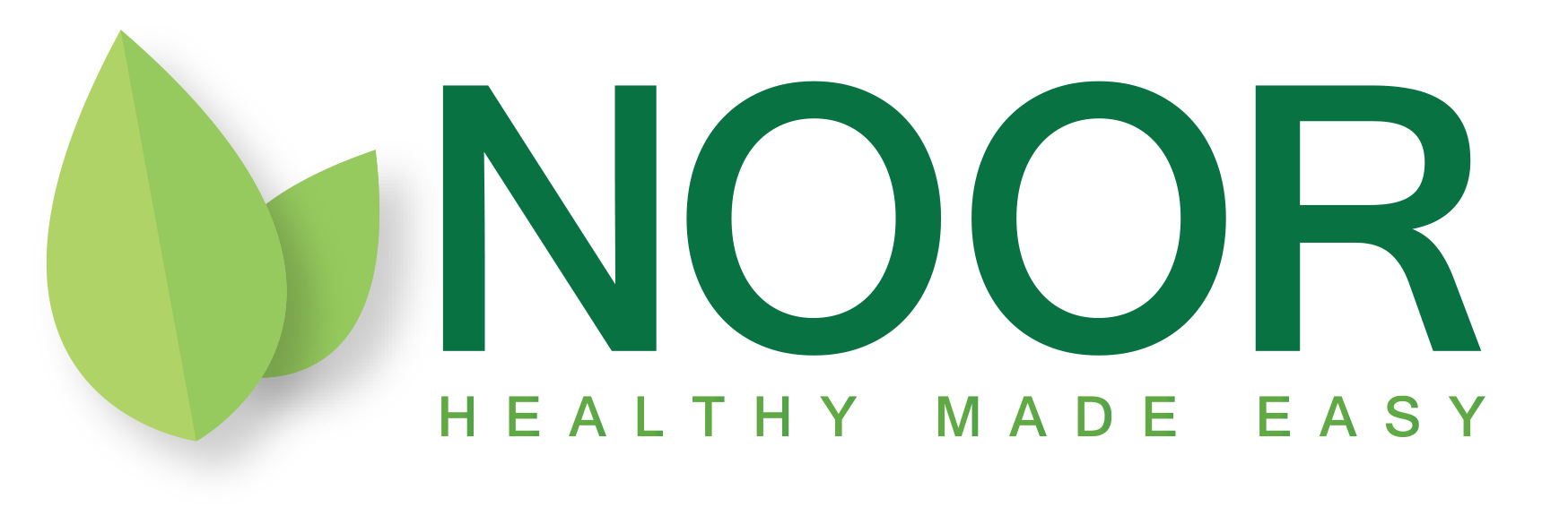 Noor Dubai Logo
