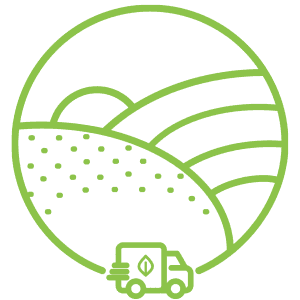 Central de Mayoreo - CENMA